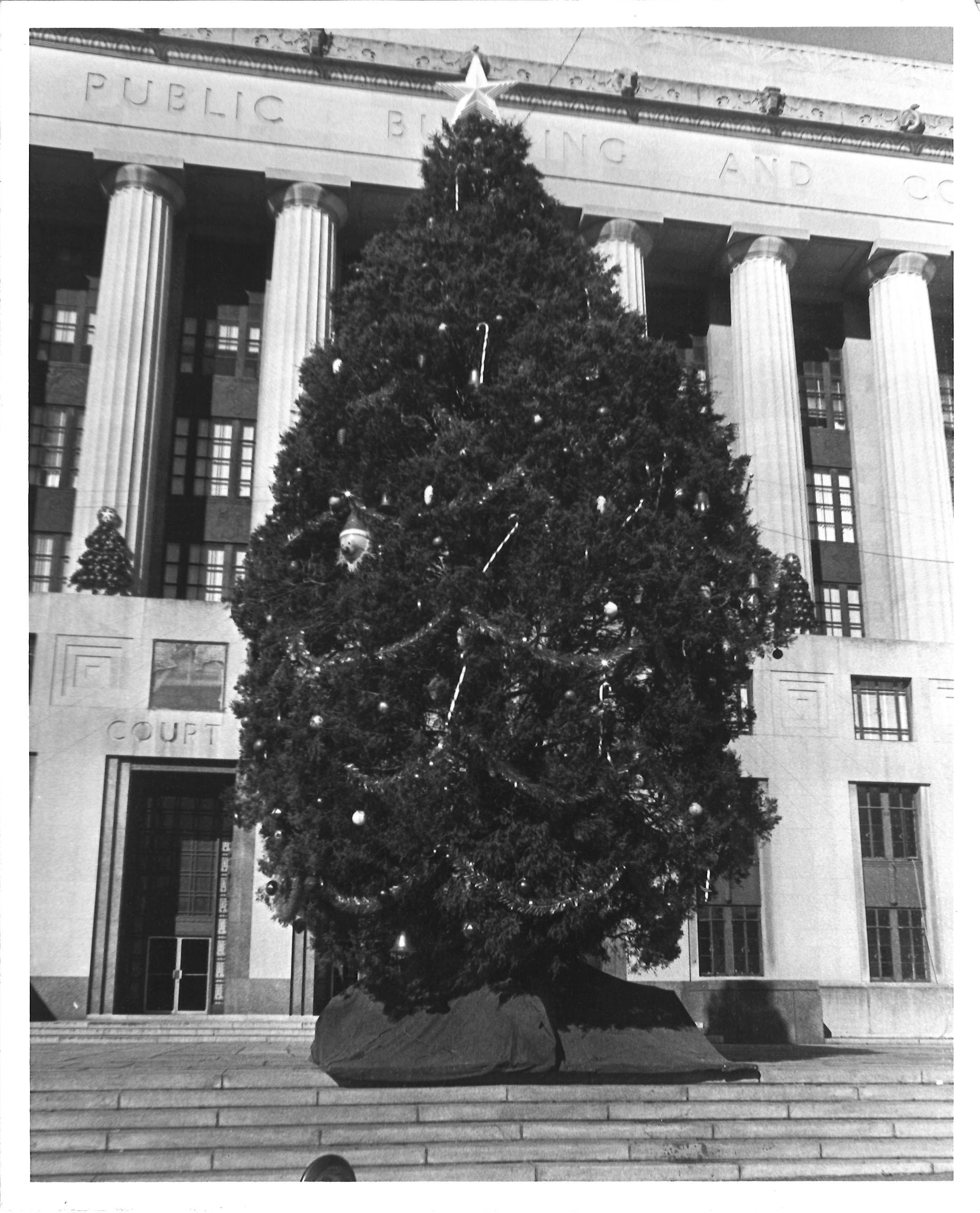 "I'm Dreaming of a White Christmas"...in Nashville? | Nashville Public ...