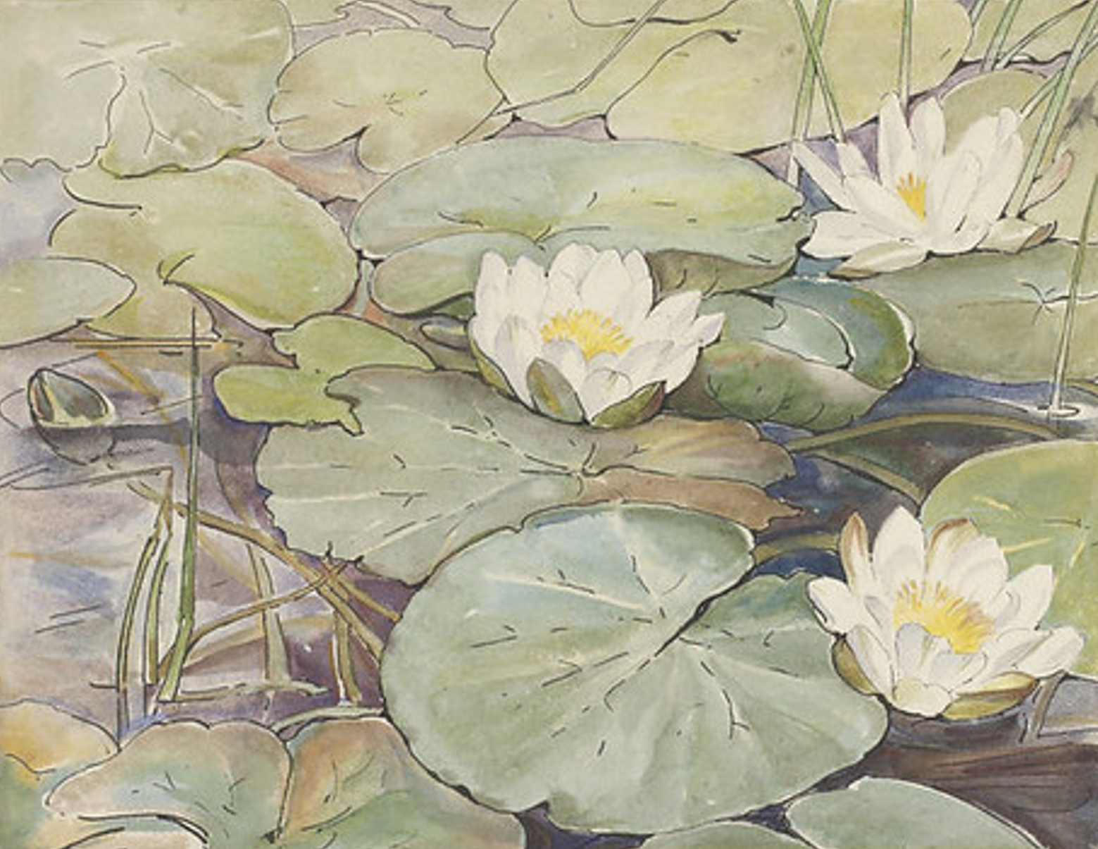 "Beatrix Potter: Drawn to Nature" at the Frist | Nashville Public Library